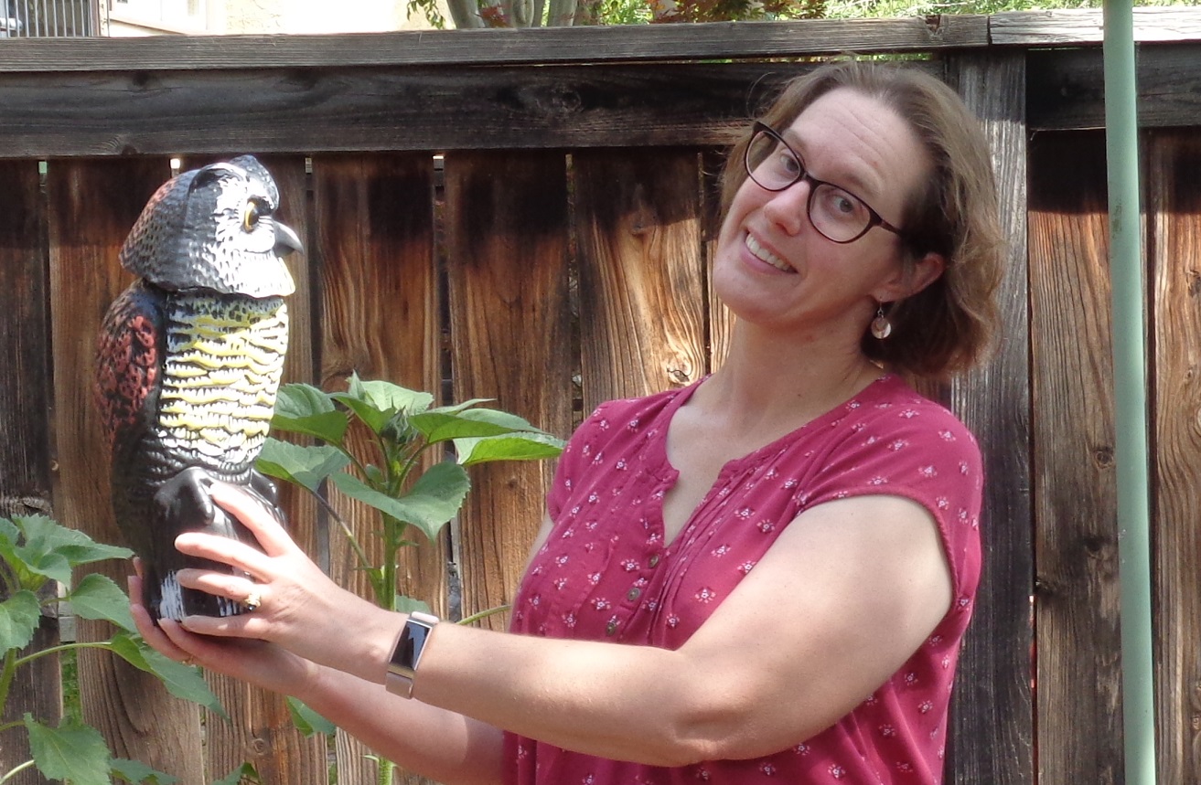 Sinking Friendship – Chosen Committed Complete