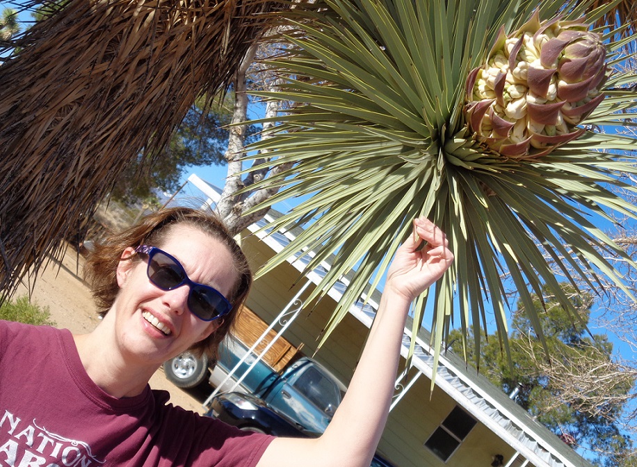 I’m Not Pathetic – Chosen Committed Complete